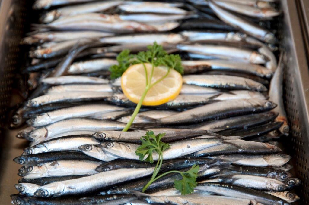 Moroccan cuisine - Learn about Morocco's famous daily dishes