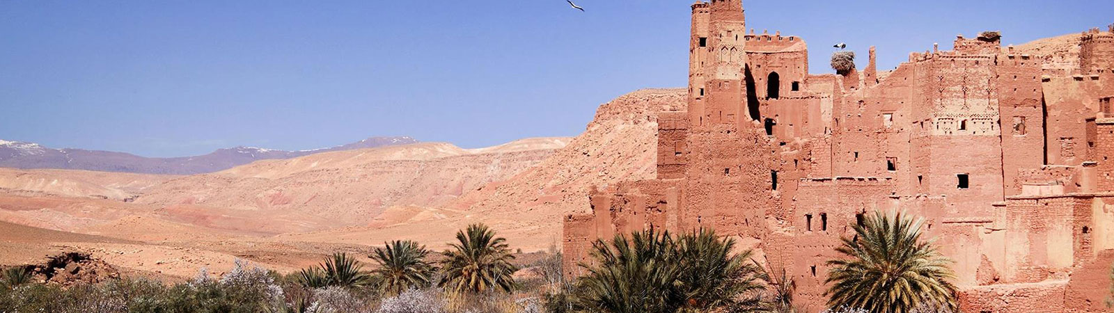 Hotel Dar Chamaa Ouarzazate - Marrakech desert trips