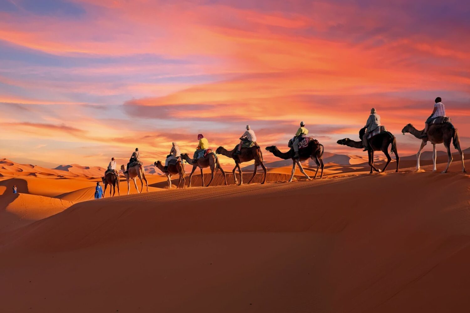 Explore the Best Things to do in Merzouga, Morocco's Desert Gem!