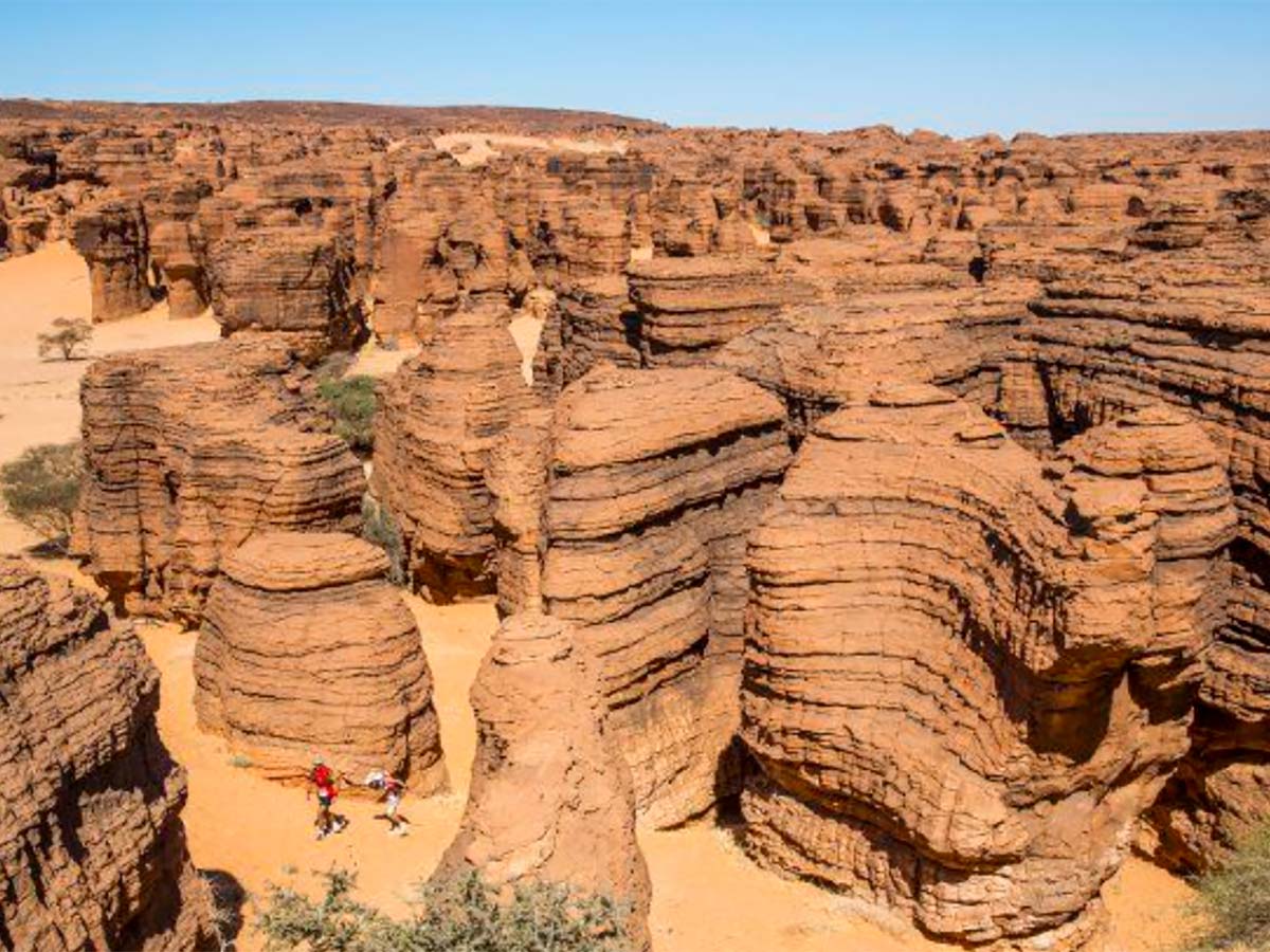 15 Fascinating Sahara Desert Facts | Marrakech Desert Trips