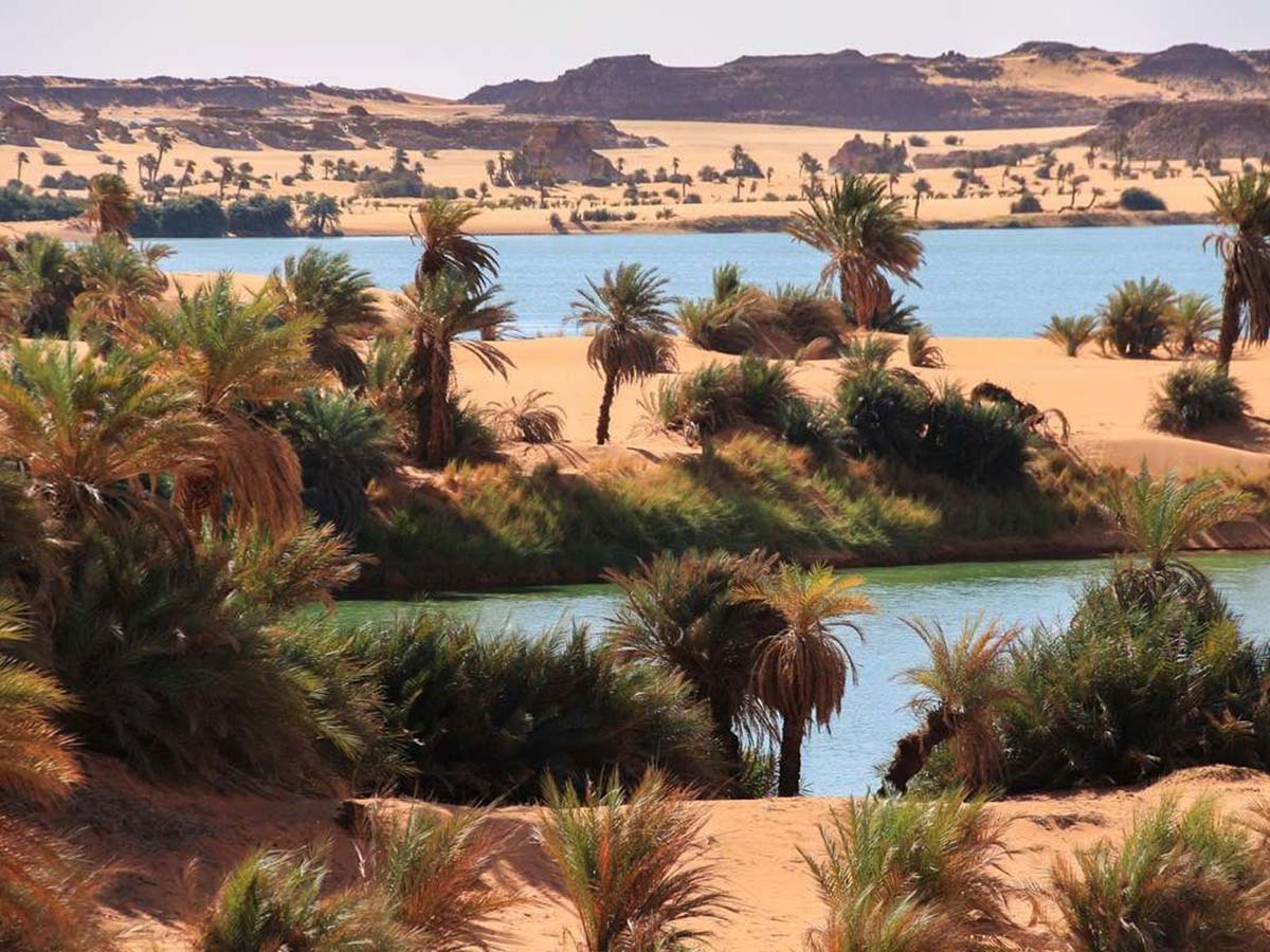 15 Fascinating Sahara Desert Facts | Marrakech Desert Trips