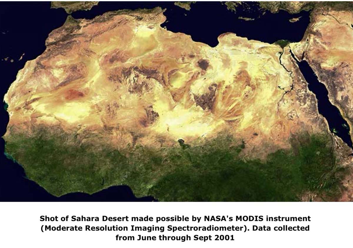 15 Fascinating Facts About the Sahara Desert - Asmaa Travel Blog