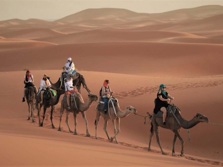 Morocco Camel Ride: Mastering Your Sahara Desert Adventure